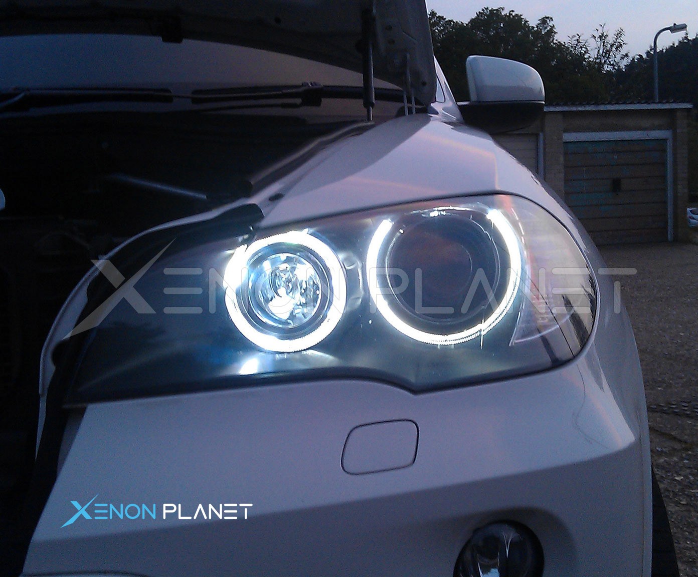 H8 20W CREE LED Angel Eyes Upgrade Bulb | BMW 63217760782